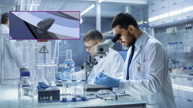 Anime Scientists Confirm Swords Can Cut Totally Through Bullets In Mid ...